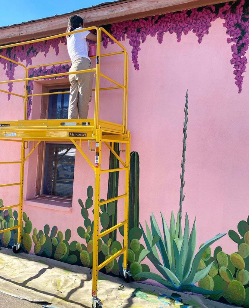 'Homegrown' Mural in Del Rio, Tx – ART BY BIANKA